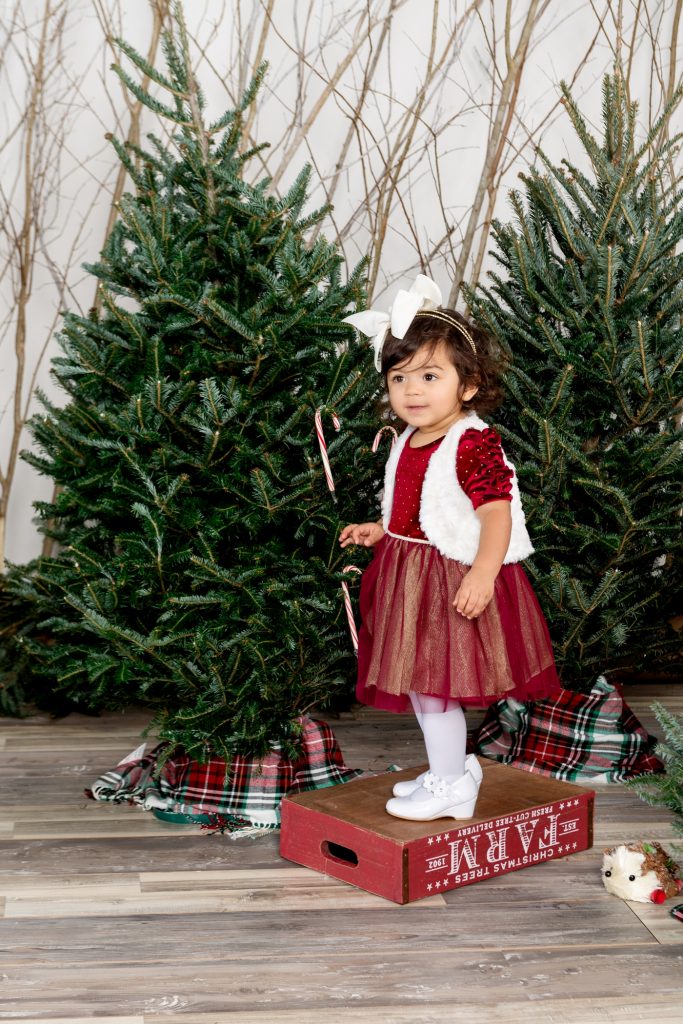 Orlando Christmas Minis with A Girl and Her Glitter - Kristen Weaver ...