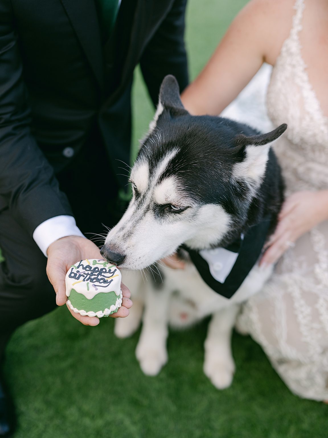 Blossoming Love at This Beautiful Bella Collina Wedding - Kristen ...