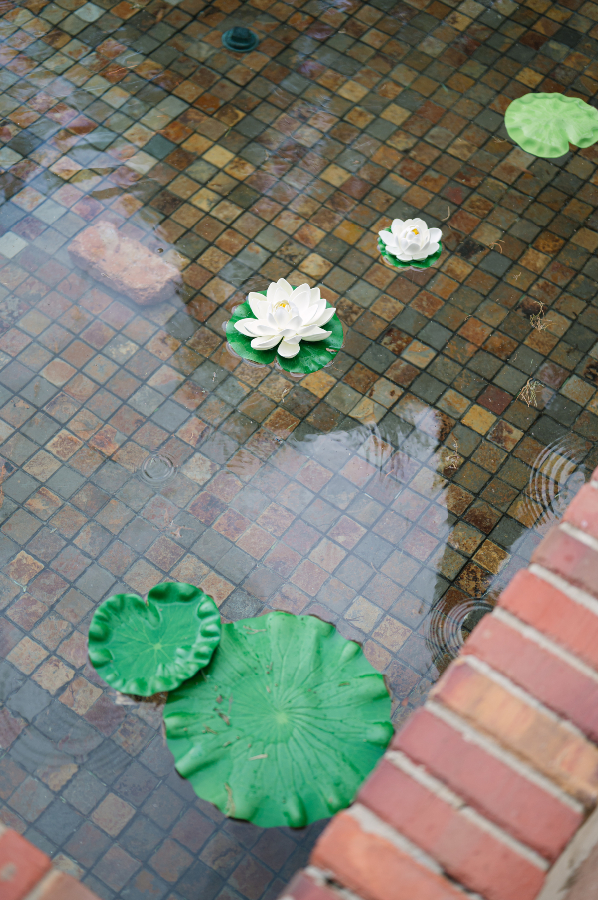 Celebration of Love at Bella Collina Despite Summer Showers - Kristen ...